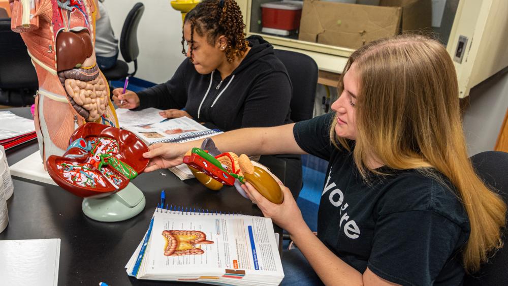 Penn College launches bachelor’s degree in biomedical sciences | Penn State University